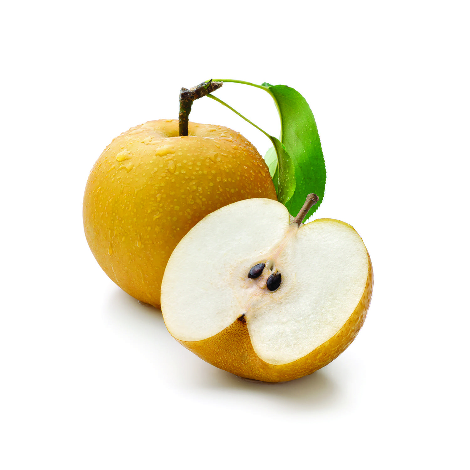 Japanska kruška Nashi | sadnica.ba | Rasadnik Agromedžik